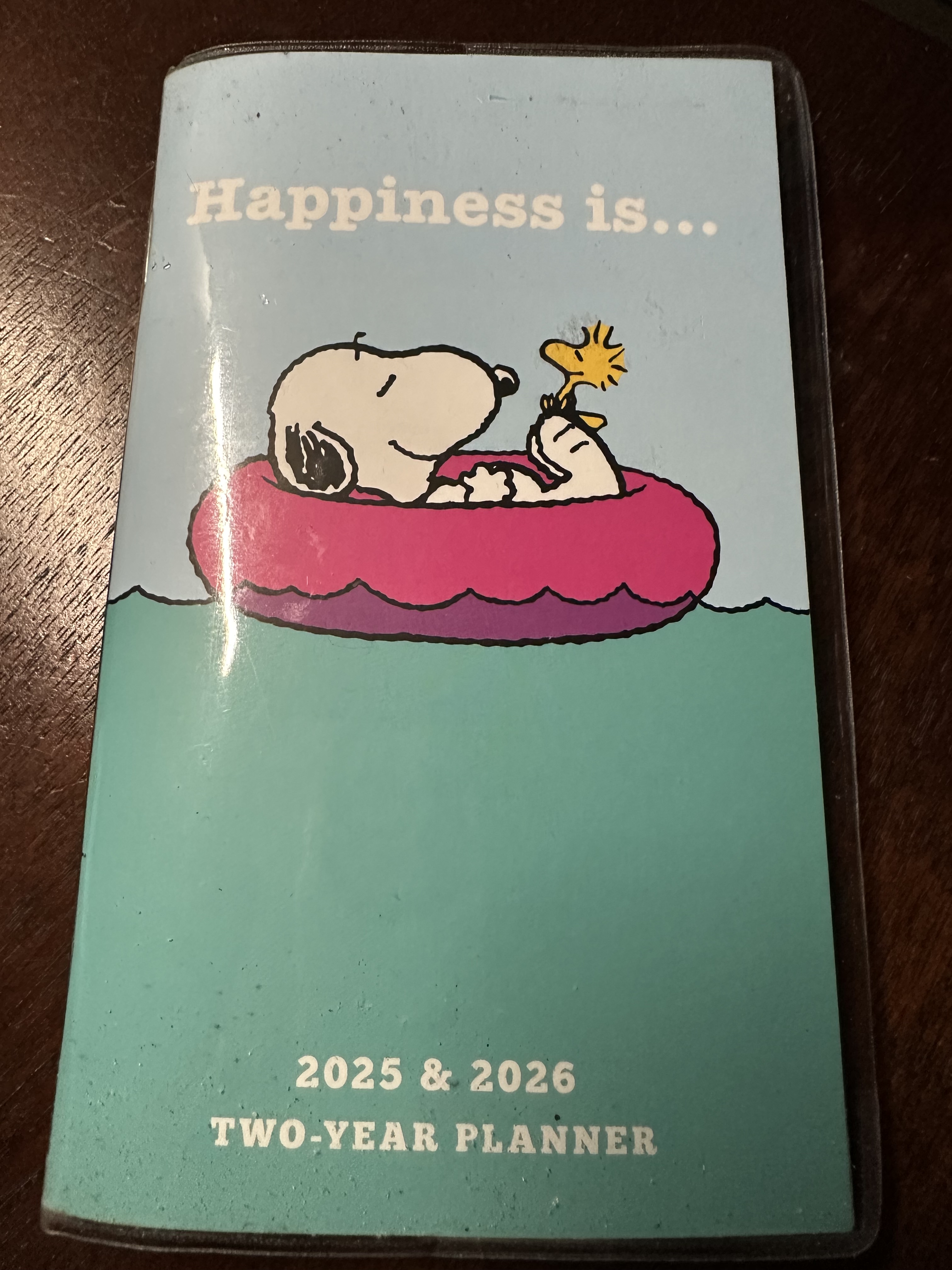 Finding the Write time – Lynn Van Meter